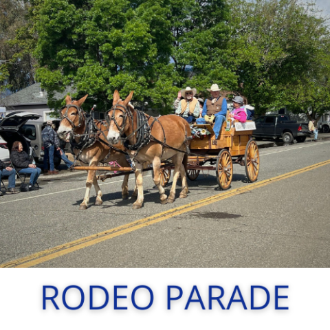 Stony Creek Horsemen’s Association – Stonyford Rodeo